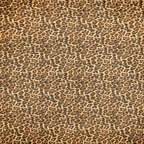Cheetah Prints