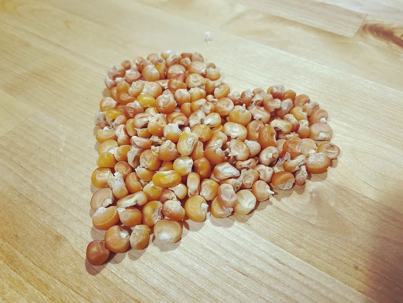 Otto File Orange Polenta Italian Heirloom Flint Corn Eight Row ...