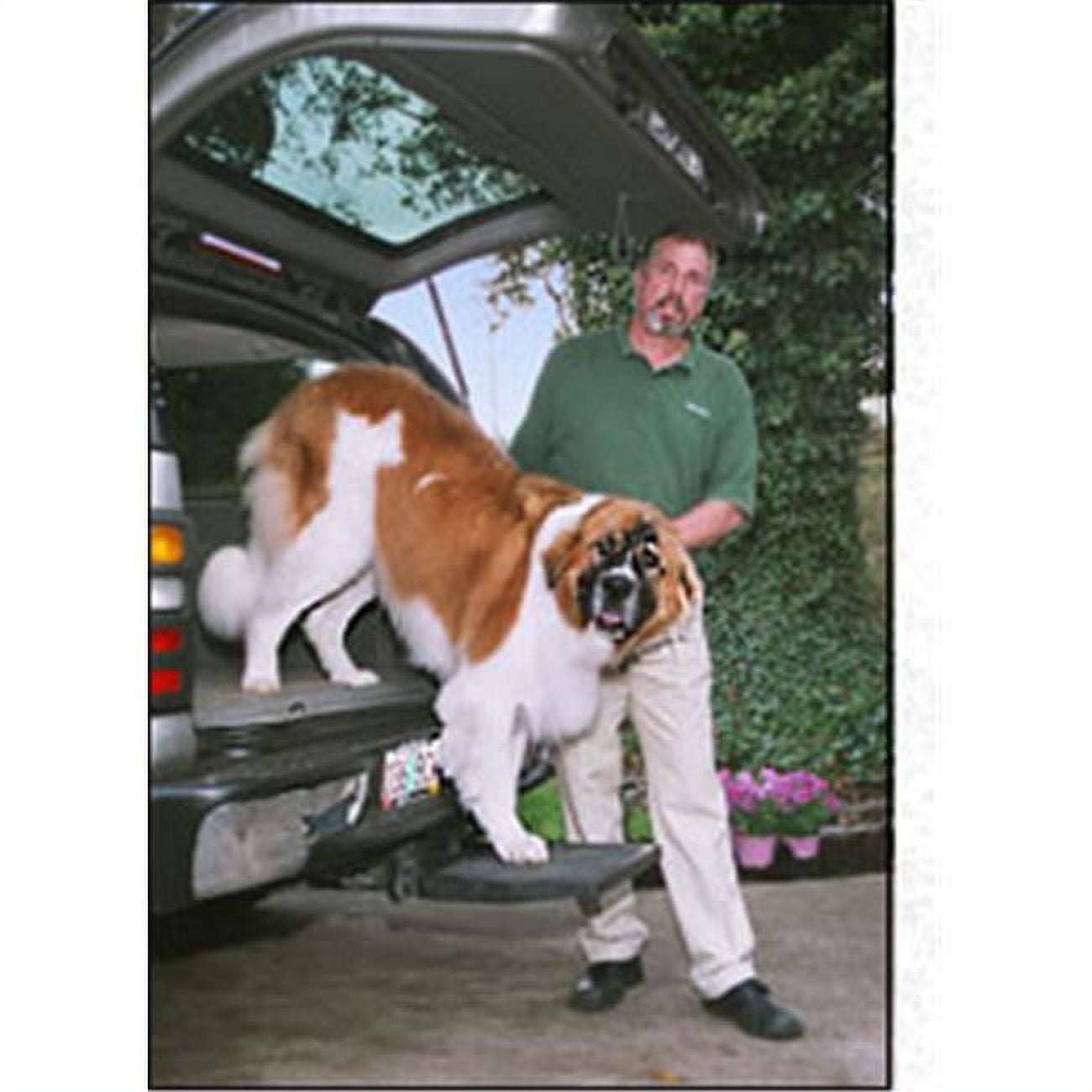 Otto Step 689076472791 Pet Step - Walmart.com