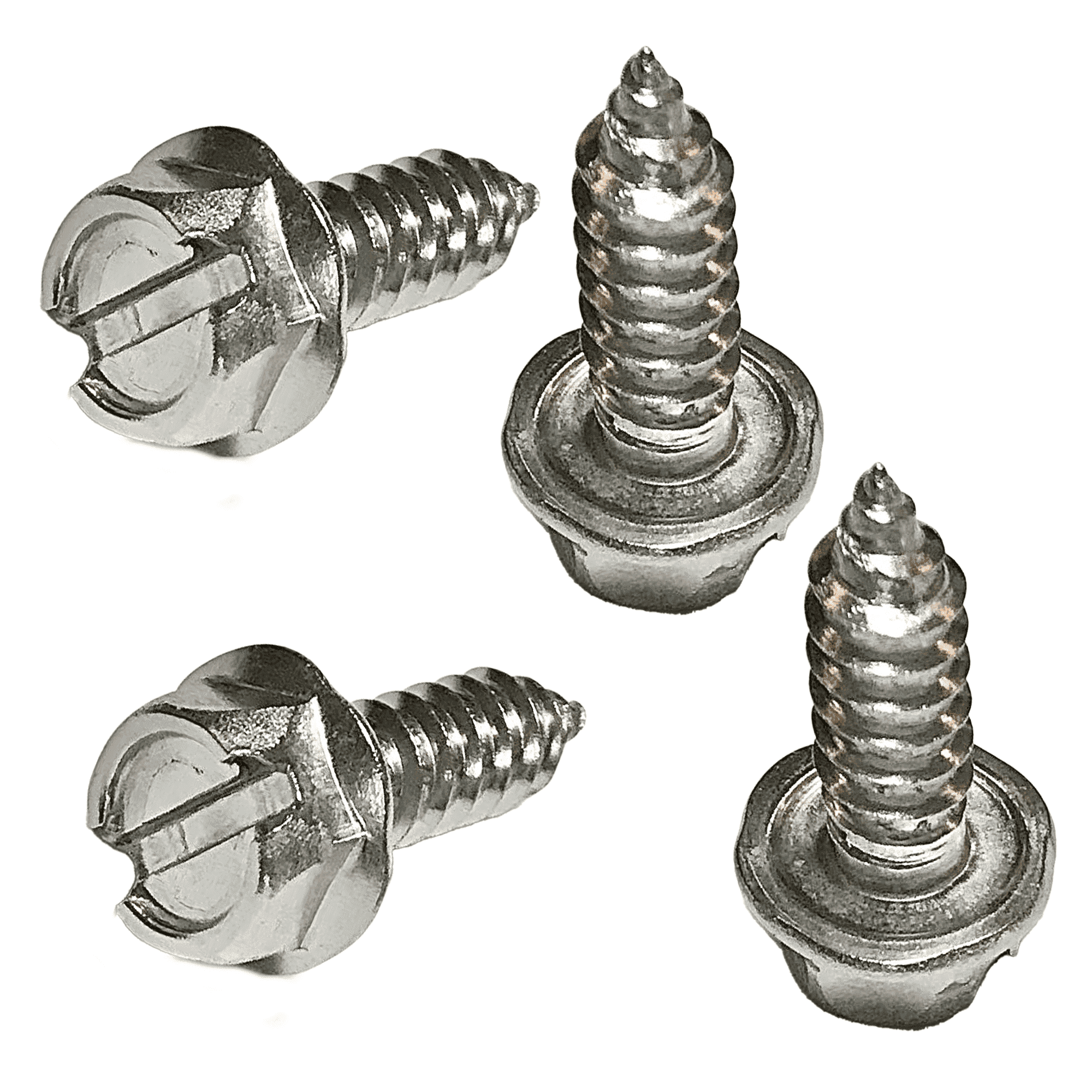 OttoSpeed Rustproof License Plate Screws (4-Pack, Stainless Steel ...
