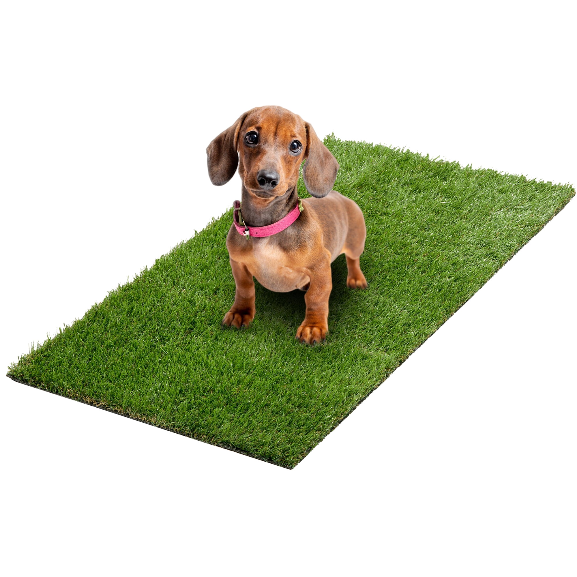 Ottomanson Puppy Training Grass Pad Floor Mat For Dogs, Reusable Pet ...