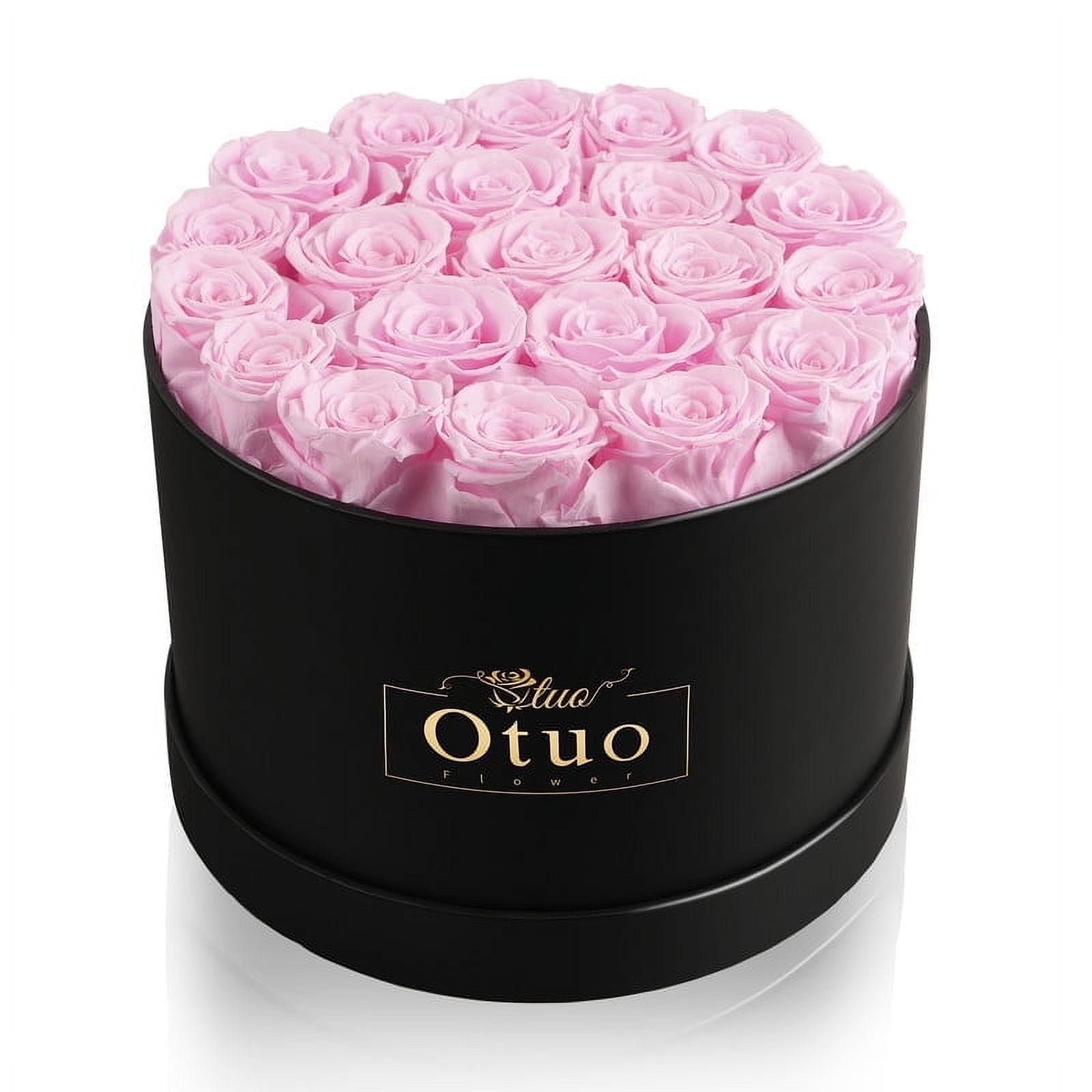 Otuo 21-Piece Preserved Roses in Gift Box, Real Eternal Rose Flower, Valentines Day Gifts for ...