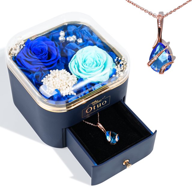 Otuo Preserved Real Rose Box with Necklace, Eternal Flowers Gifts for ...