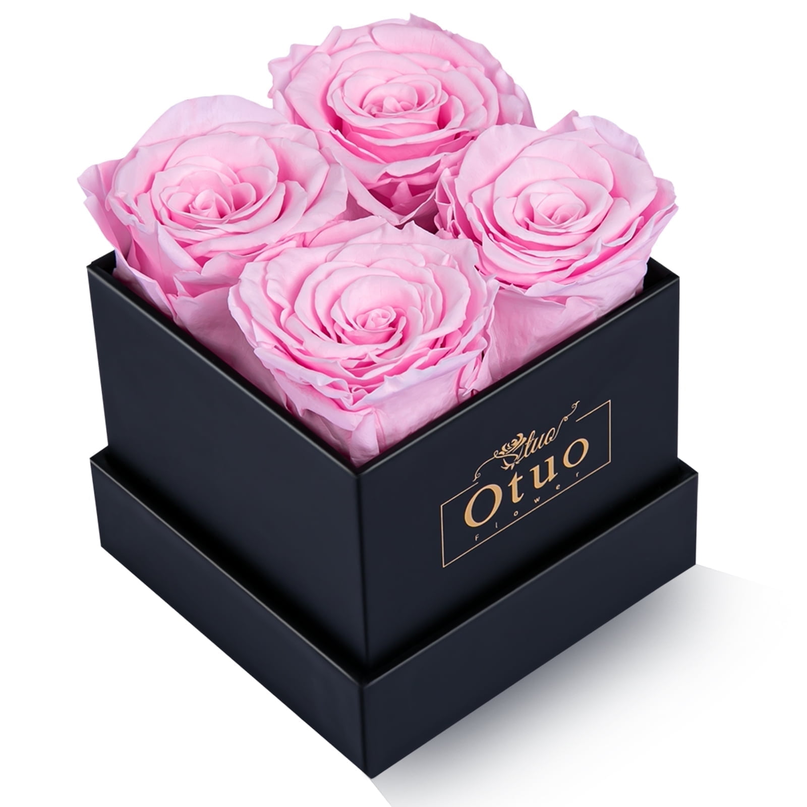 Otuo Preserved Roses in Gift Box, Real Eternal Rose Flower Gifts for Girlfriend, Mom, Women ...