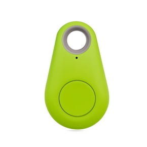 Gps Keychain Tracker