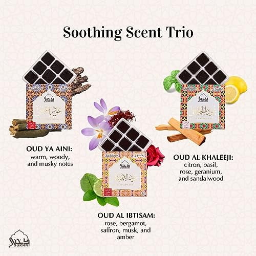 Oud Ya Aini, Oud Al Khaleeji, Oud Al Ibtisam Bakhoor Set by Dukhni | 3 ...