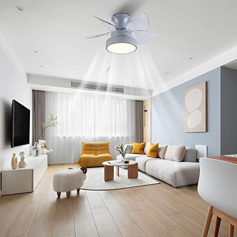 Ceiling Fan Timer Control | Shelly Lighting