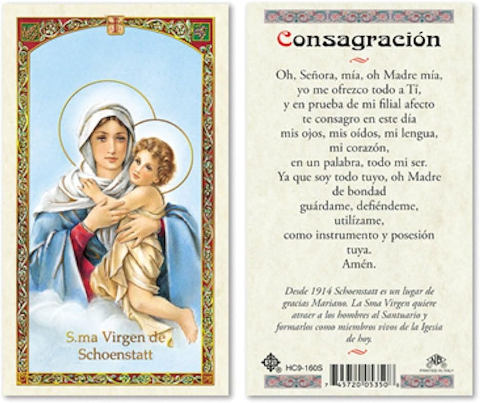 Our Lady of SCHOENSTATT Laminated Prayer Cards - 25/PKG - Walmart.com