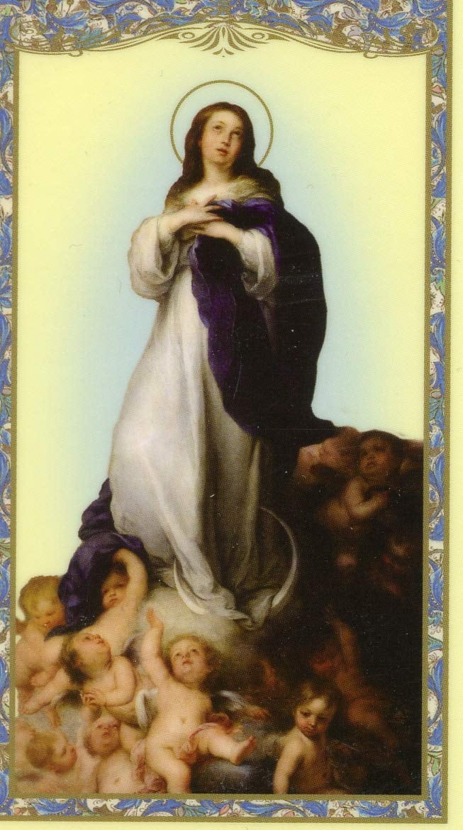 Our Lady of the Assumption holy card - laminated - Pack of 25 - Walmart.com