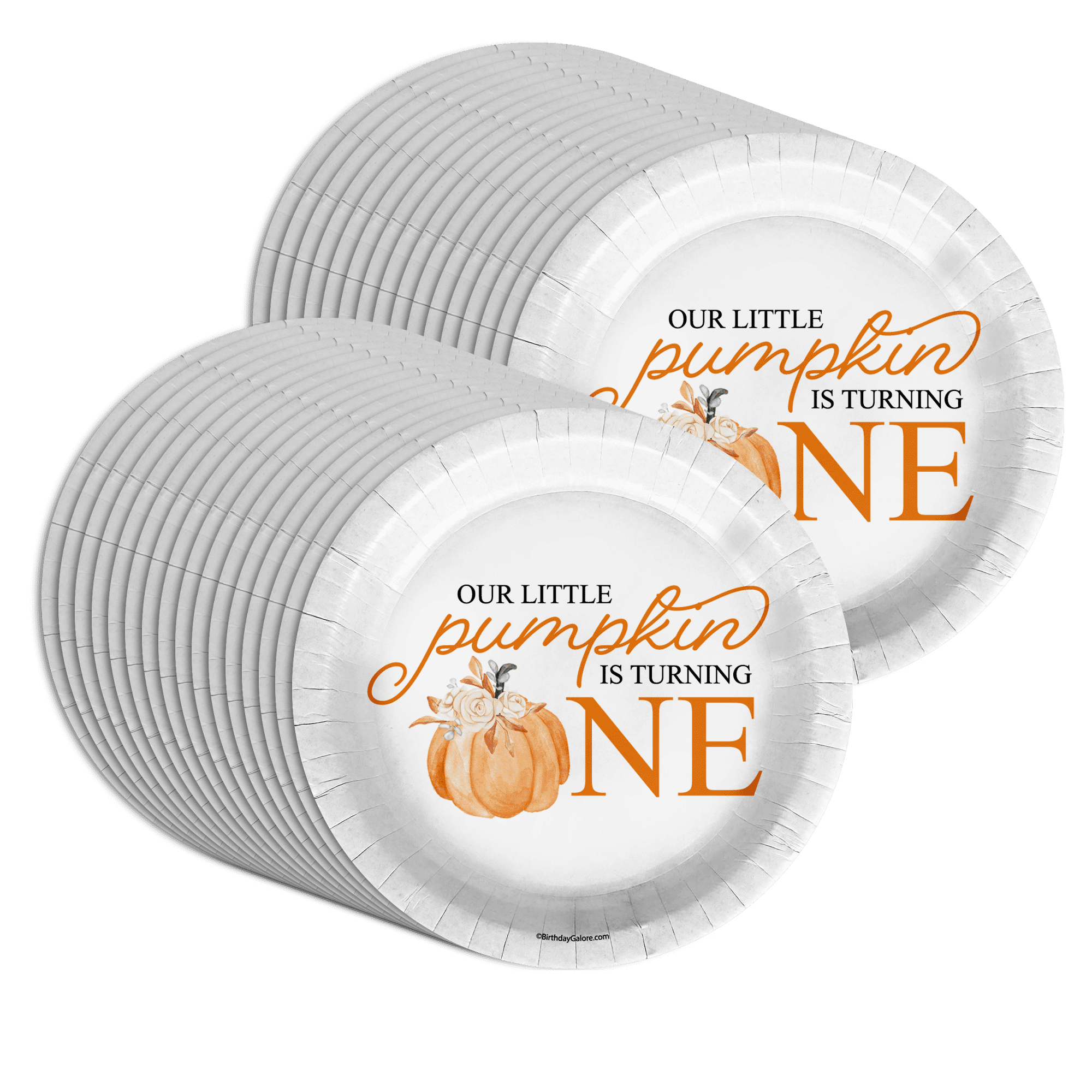 Our Little Pumpkin is Turning One 1st Birthday Party Supplies Large 9 ...