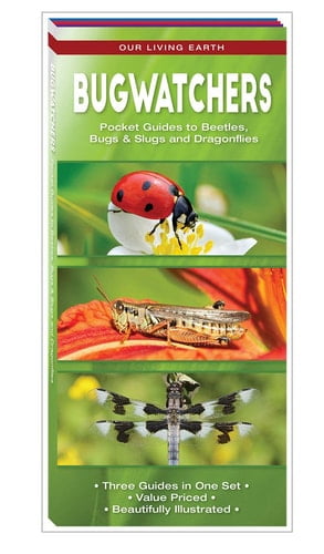 Pre-Owned Our Living Earth: Bugwatchers: Pocket Guides to Beetles, Bugs ...
