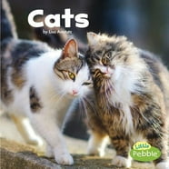 Cat Heaven (Hardcover) - Walmart.com