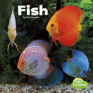Little White Fish (Board Book) - Walmart.com