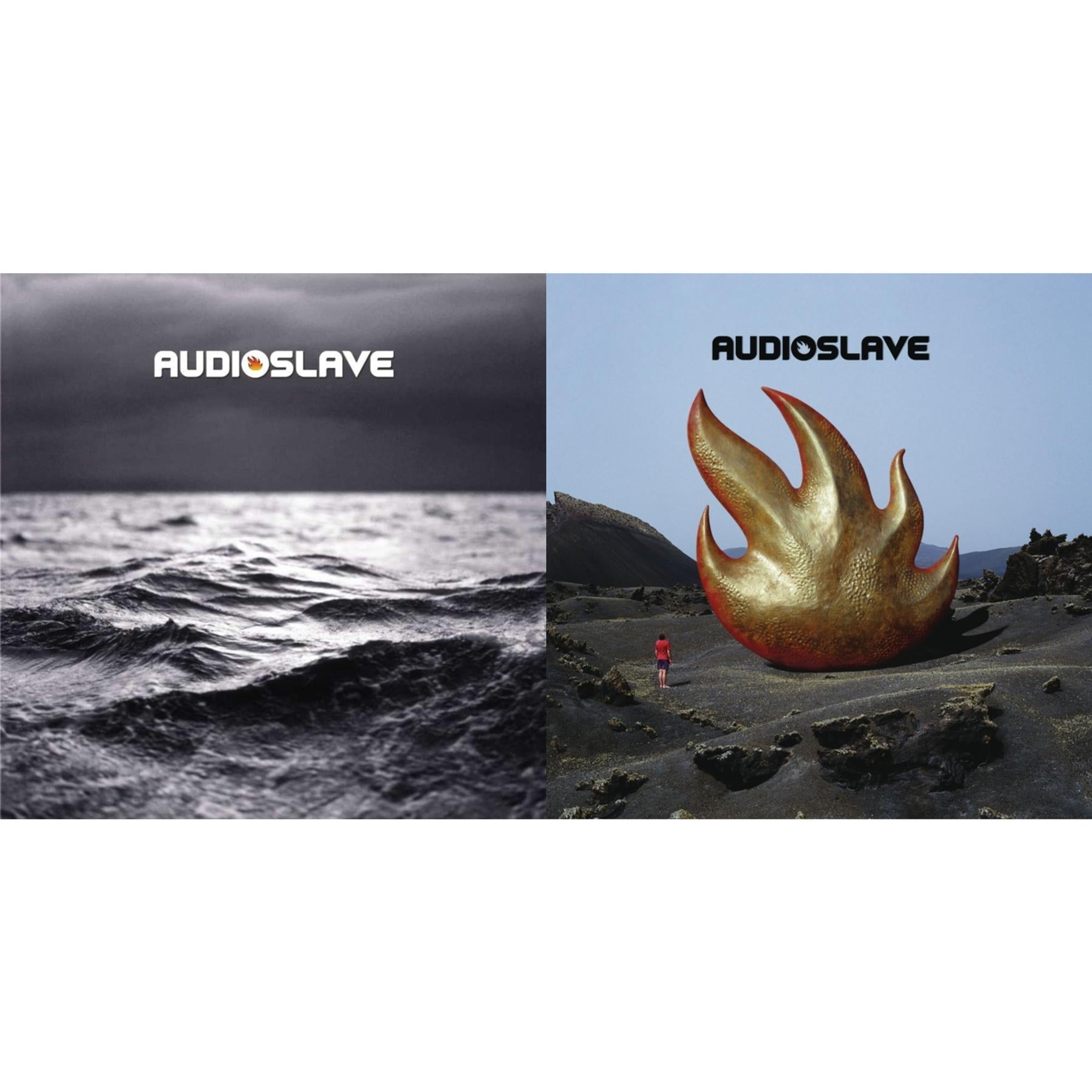 Out Of Exile & Audioslave [CD Bundle] - Walmart.com