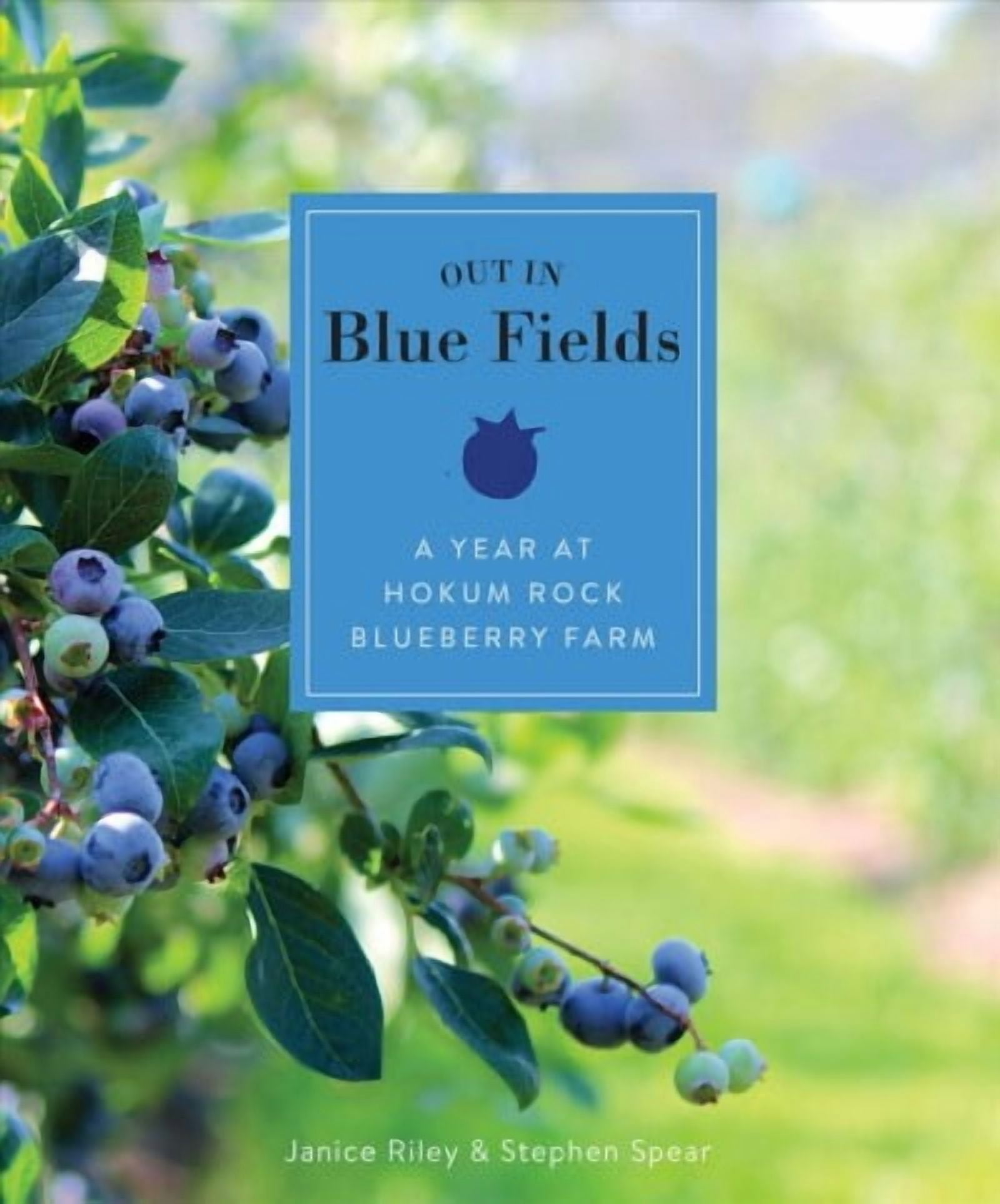Out in Blue Fields: A Year at Hokum Rock Blueberry Farm - Walmart.com