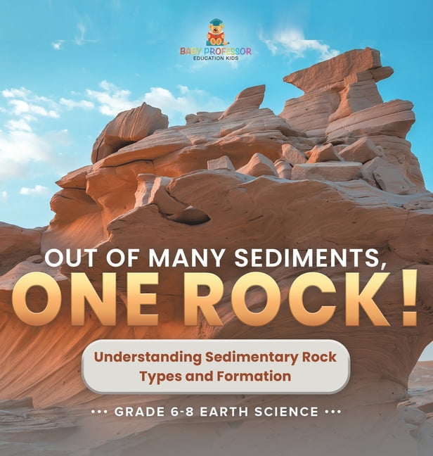 Out of Many Sediments, One Rock! Understanding Sedimentary Rock Types ...