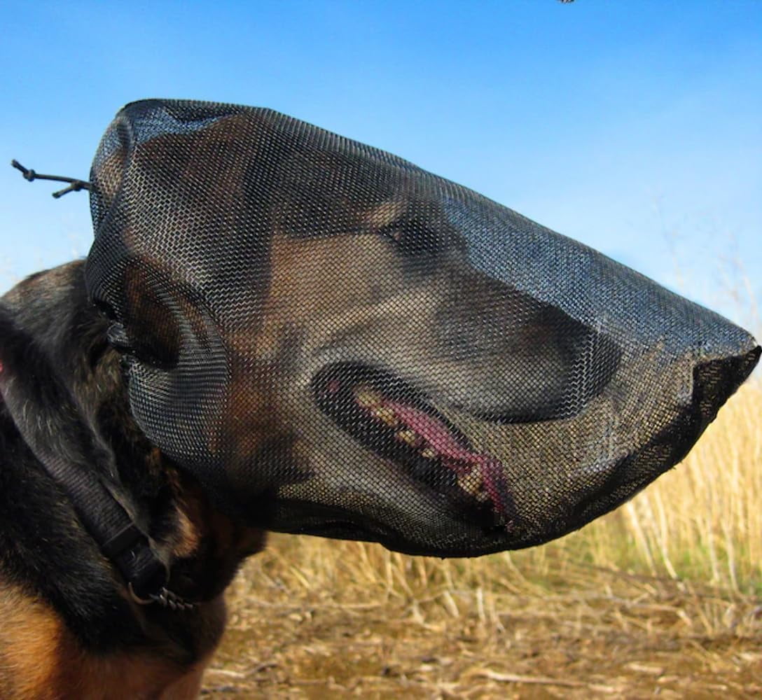 OutFox Field Guard Size XS - Vet-Recommended Dog Safety Mask for ...