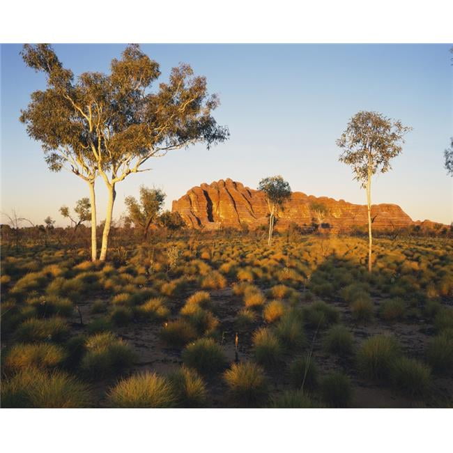 Outback Australia with rock formation in the distance; Northern ...
