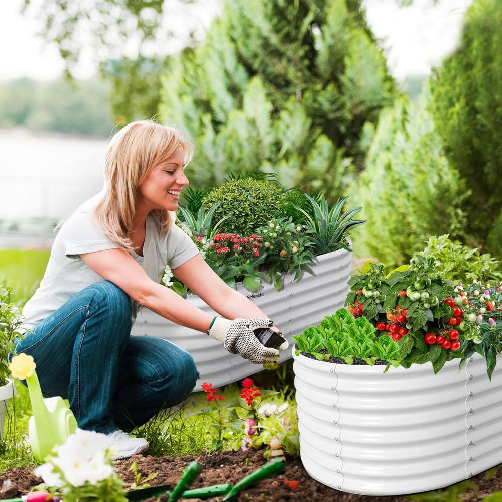 Outdoor 6 ft. x 3 ft. x 2 ft. Oval Metal Raised Garden Bed in White For ...
