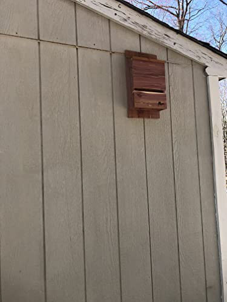 Outdoor Bat Box Shelter with Large Double Chamber - Handmade in USA ...