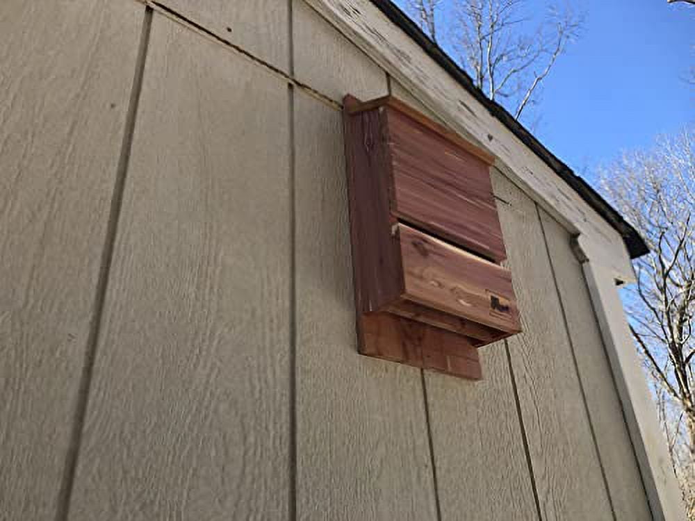 Outdoor Bat Box Shelter with Large Double Chamber - Handmade in USA ...