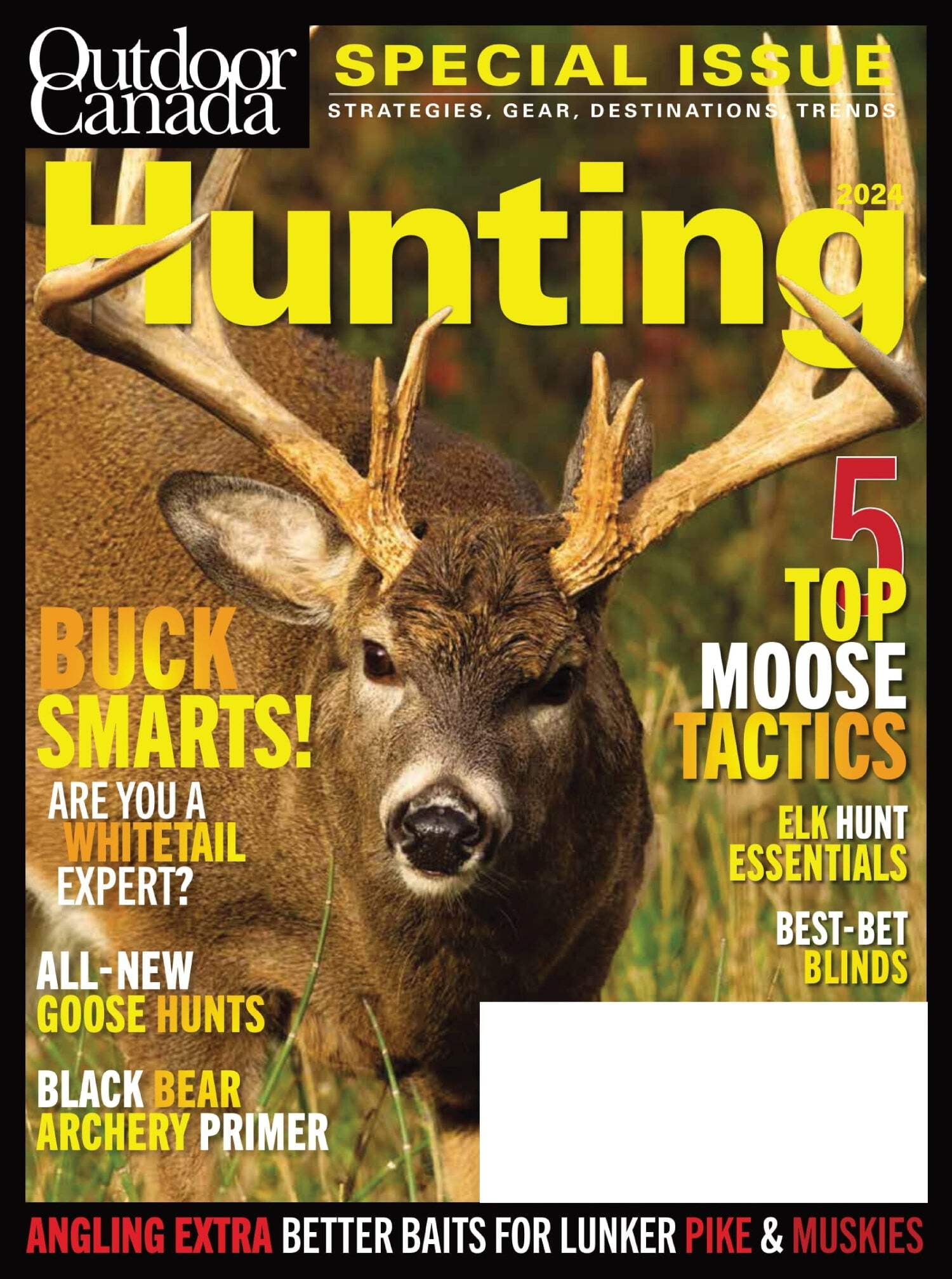 Outdoor Canada – Hunting Special 2024: 5 Moose Tactics, Elk Hunt ...