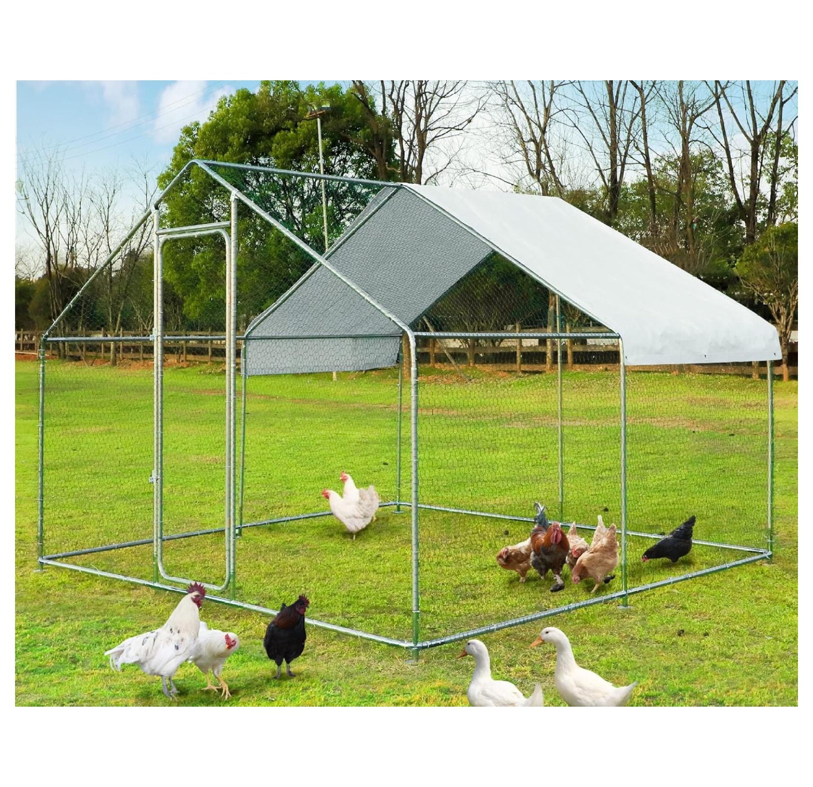 Outdoor Chicken Coop, Large Metal Chicken Run Cage,Chicken Kennel ...