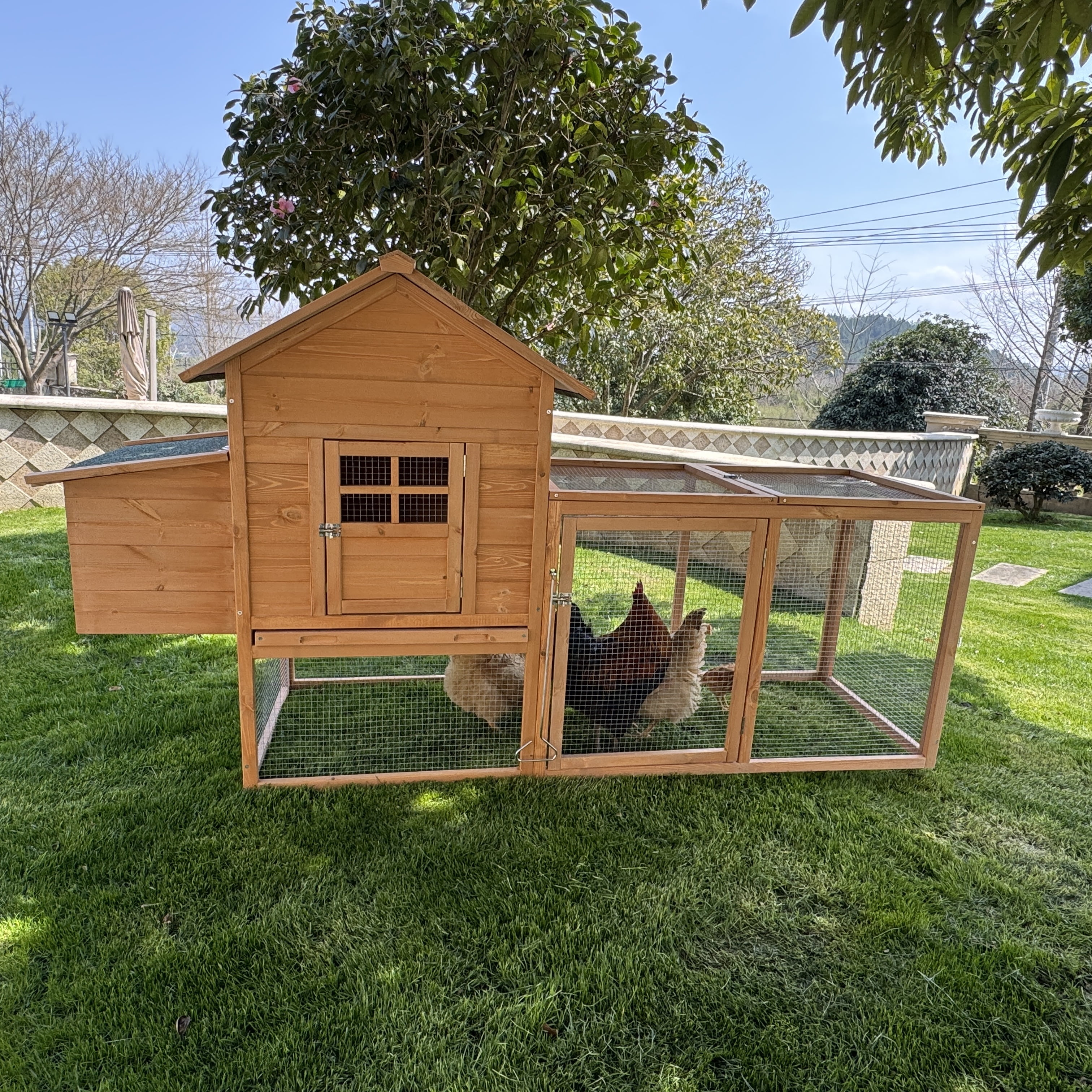Outdoor Chicken Coop With Run Chicken Runs For Yard w/ Nesting Box ...