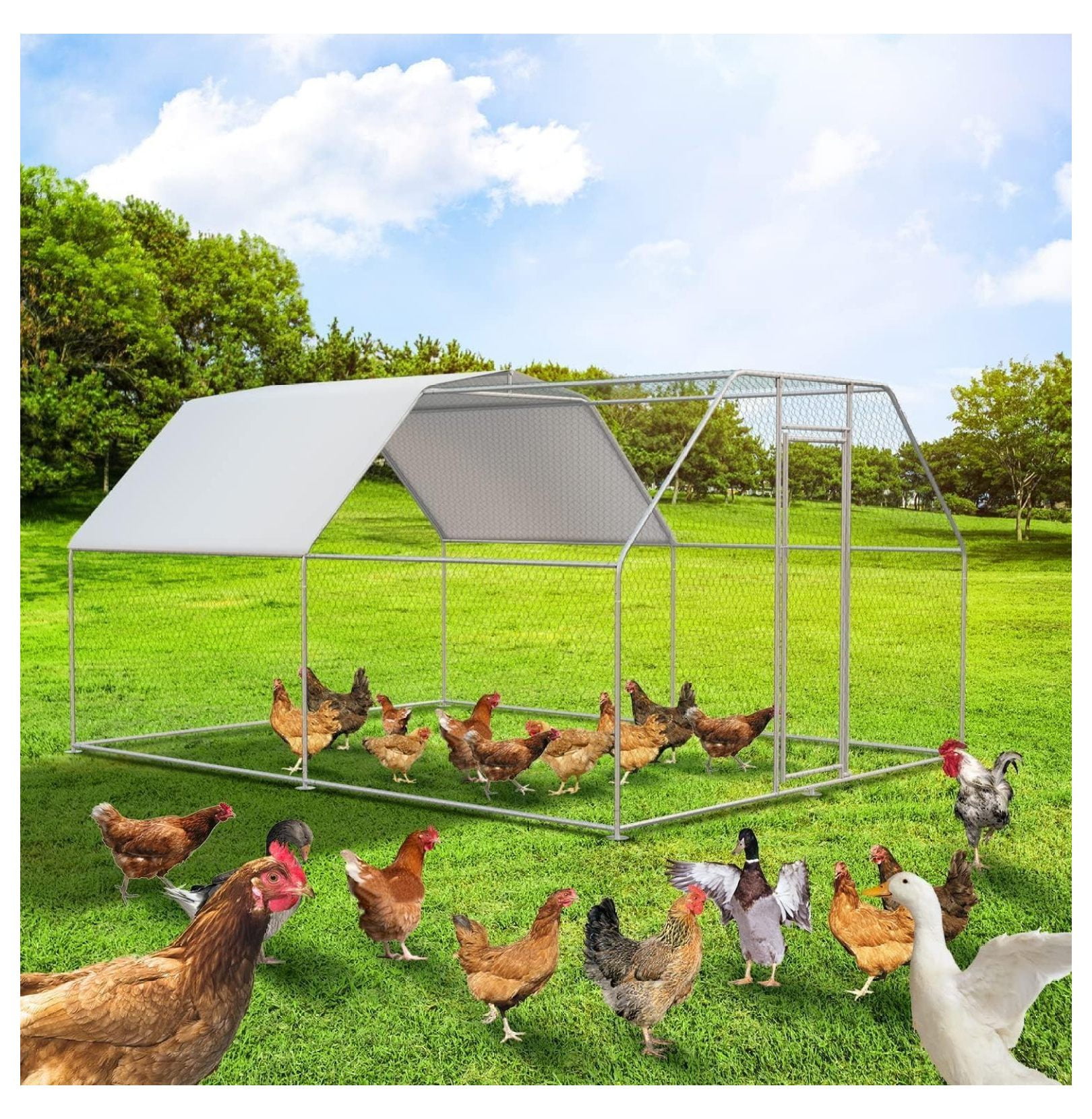 Outdoor Chicken Run Flat 2 Rooms for 20 Chickens, Waterproof Chicken ...