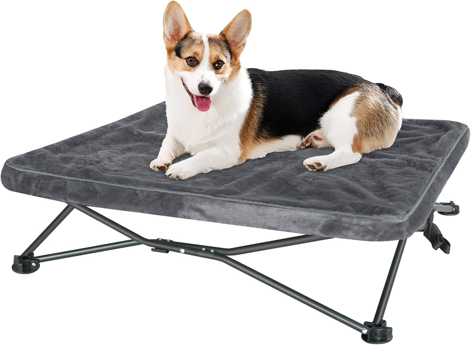 Outdoor Dog Bed - Portable, Elevated Camping Dog Cot for Indoor ...