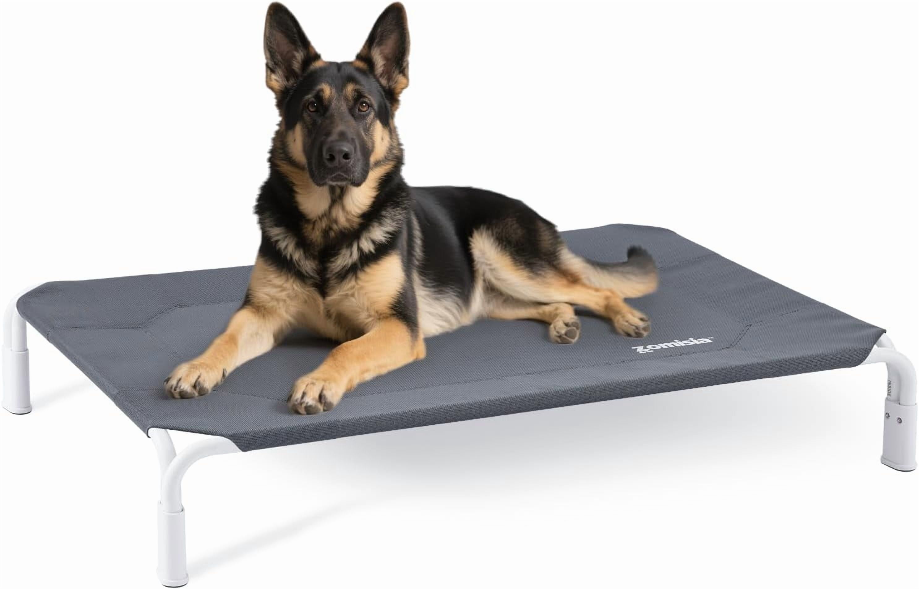 Outdoor Dog Cot Bed, Tool-Free Assembly, Elevated Raised Dog Cooling ...