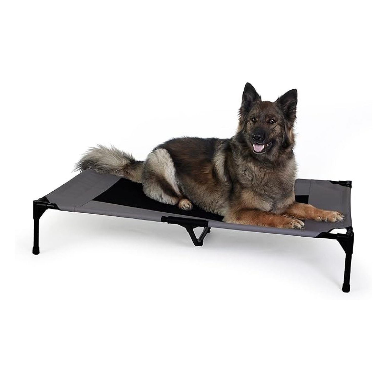Outdoor Elevated Dog Cot, Breathable Cooling Elevated Cot Hammock Pet ...