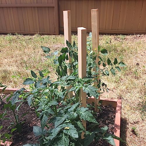 Outdoor Essentials 3 ft. Wood Grade Stake (24-Pack) - Walmart.com