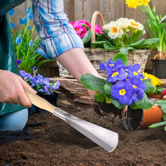 Outdoor Garden Spade with Wooden Handle, Heavy-Duty Steel Pointed ...
