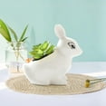 Outdoor Garden Supplies Animal Flowerpot White Porcelain Pot Rabbit ...