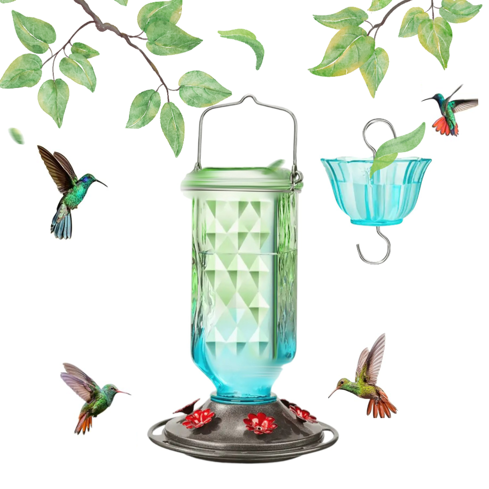 24oz Hummingbird Feeder Glass Outdoor - 6 Anti-Bee Polymer Ports ...