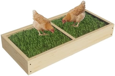 Outdoor Grass Planting Box, Grazing Poultry Feeders, DIY Wooden ...
