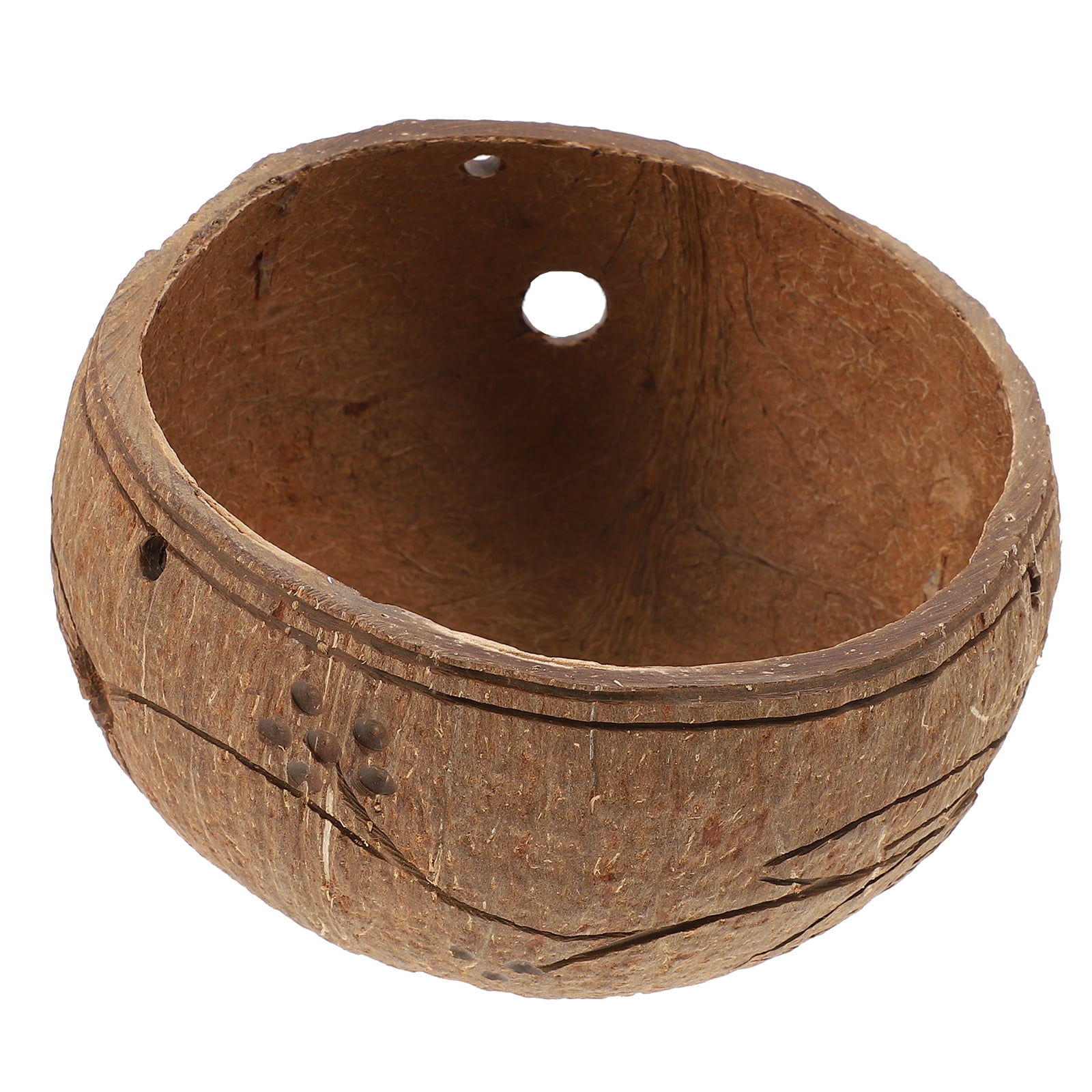 1pc Hanging Coconut Shell Plant Pot for Garden Decor and Succulents ...