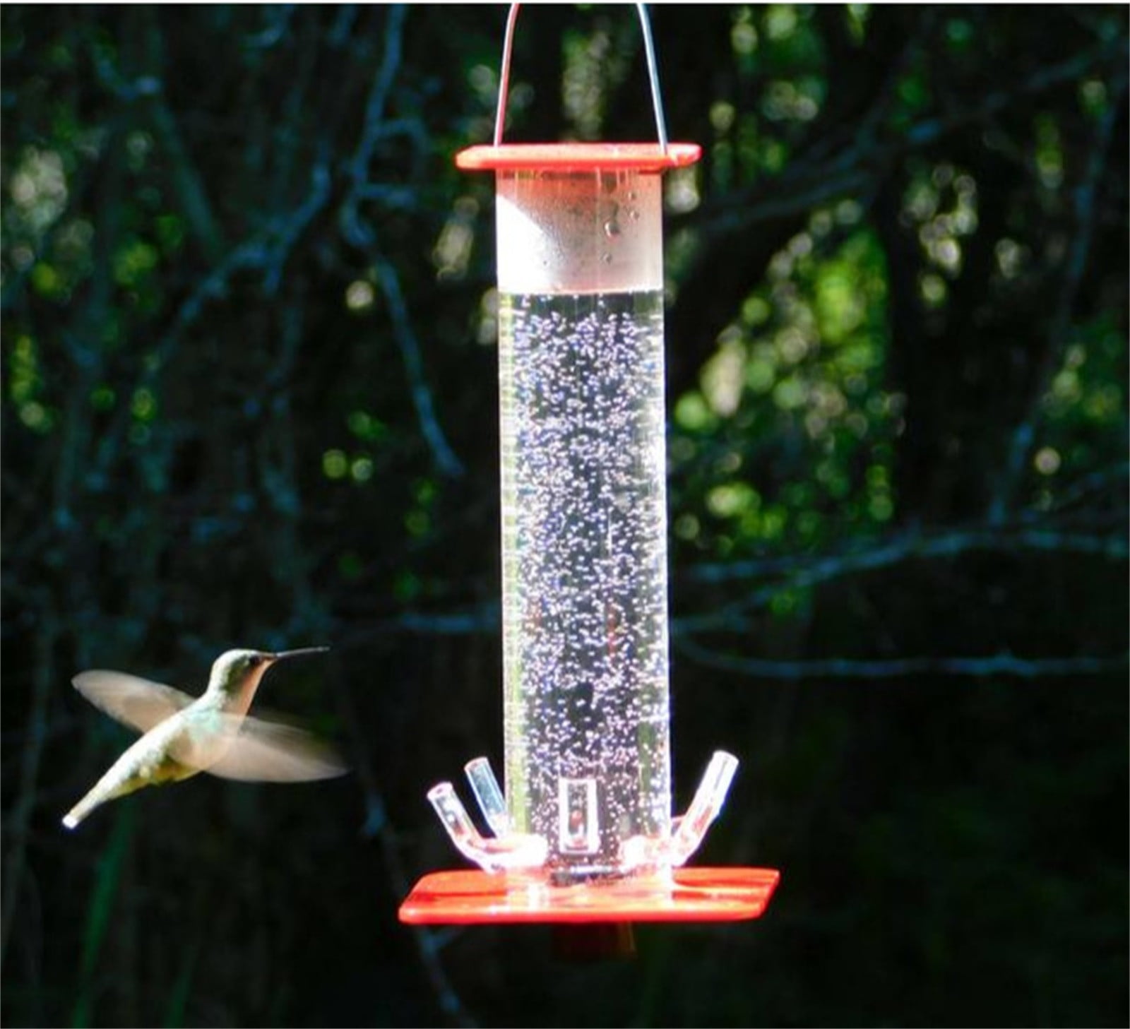 Outdoor Hummingbird Feeder Made from Glass, Hanging 5 Nectar Feeding ...