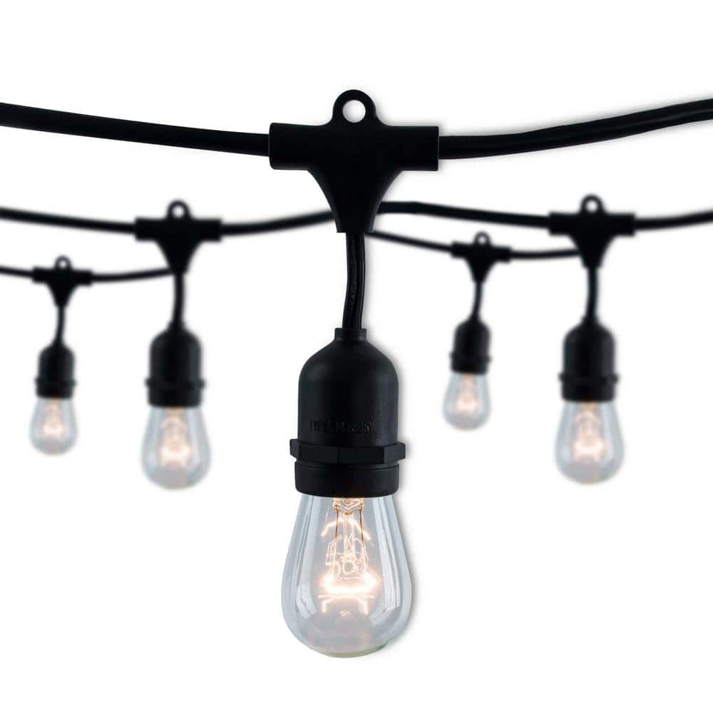 Outdoor/Indoor 30 ft. Plug-in S14 Incandescent Black String Light 12 ...