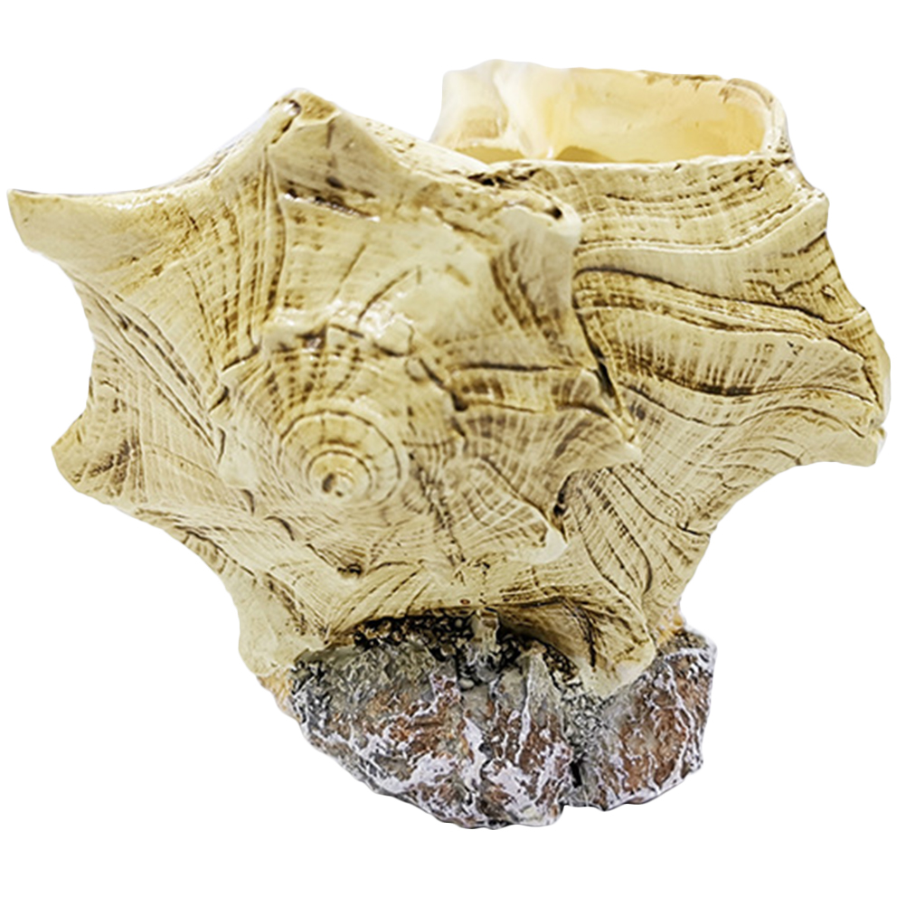 Outdoor Indoor Planter Conch Planter Garden Ornament Garden Decoration ...