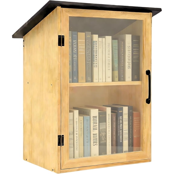 Little Free Library Box