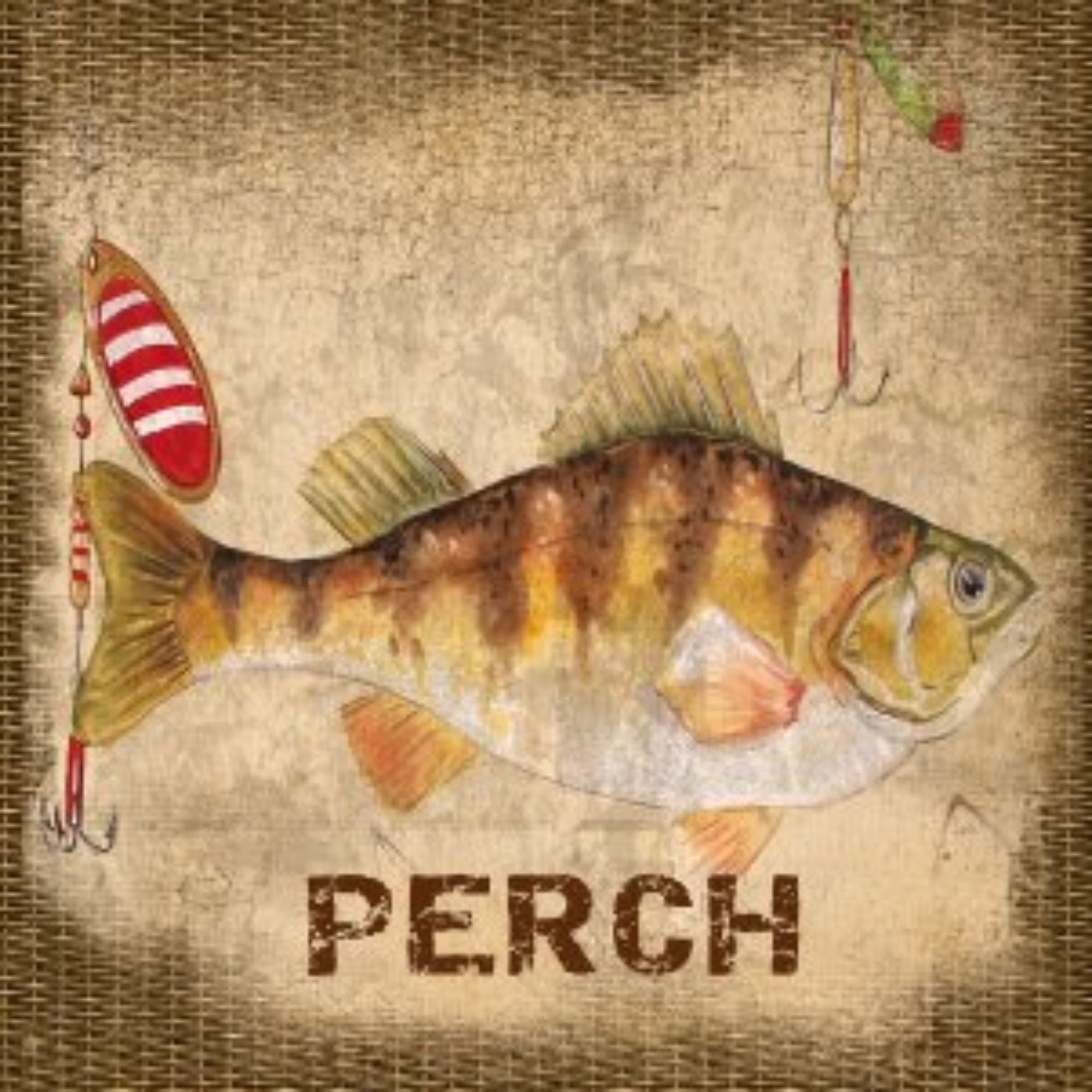 Outdoor Living and Style Brown and Beige Perch Outdoor Canvas Square ...