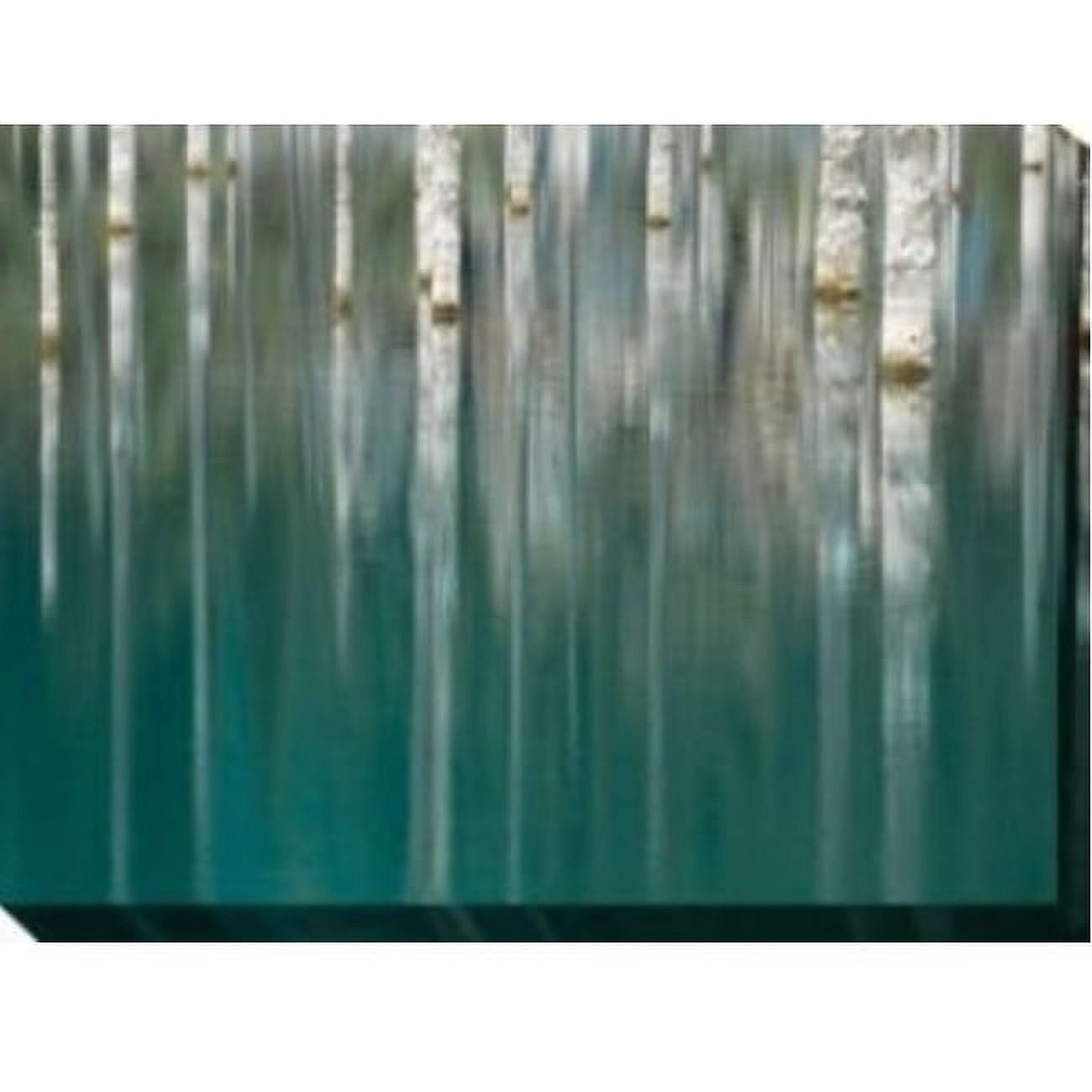 Outdoor Living and Style Silver Lake Outdoor Canvas Rectangular Wall ...