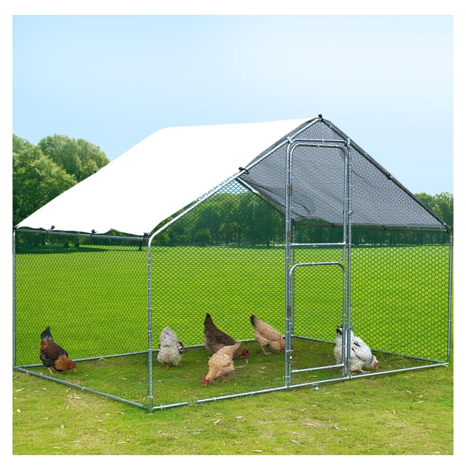 Outdoor Metal Chicken Coops for 6-10 Chickens, Walk-in Poultry Cage ...