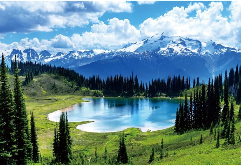 Outdoor Nature Scenery Backdrop Lake Mountains Forest Photography ...
