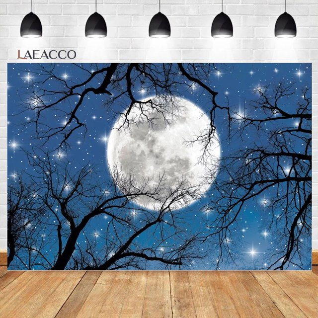 Outdoor Night Jungle Sky Full Moon Sparkling Shining Stars Background ...