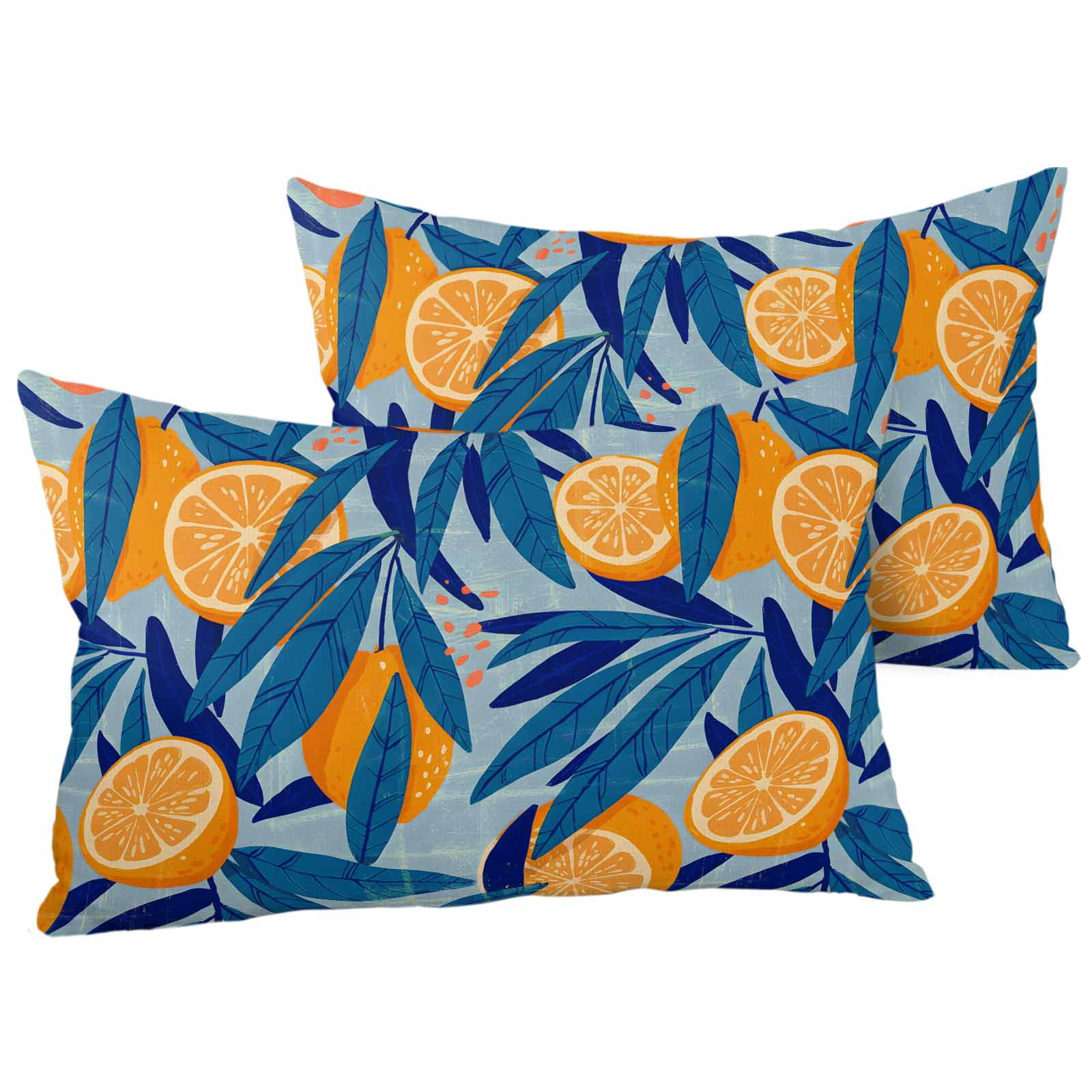 Outdoor Pillow Covers Pack of 2, Summer Orange Lemon on Retro ...