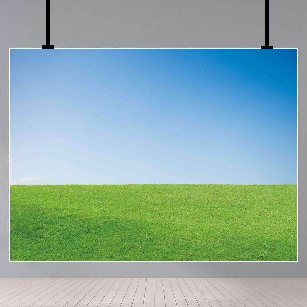 Outdoor Prairie Scenic Backdrops Blue Sky and White Clouds Theme Photo ...