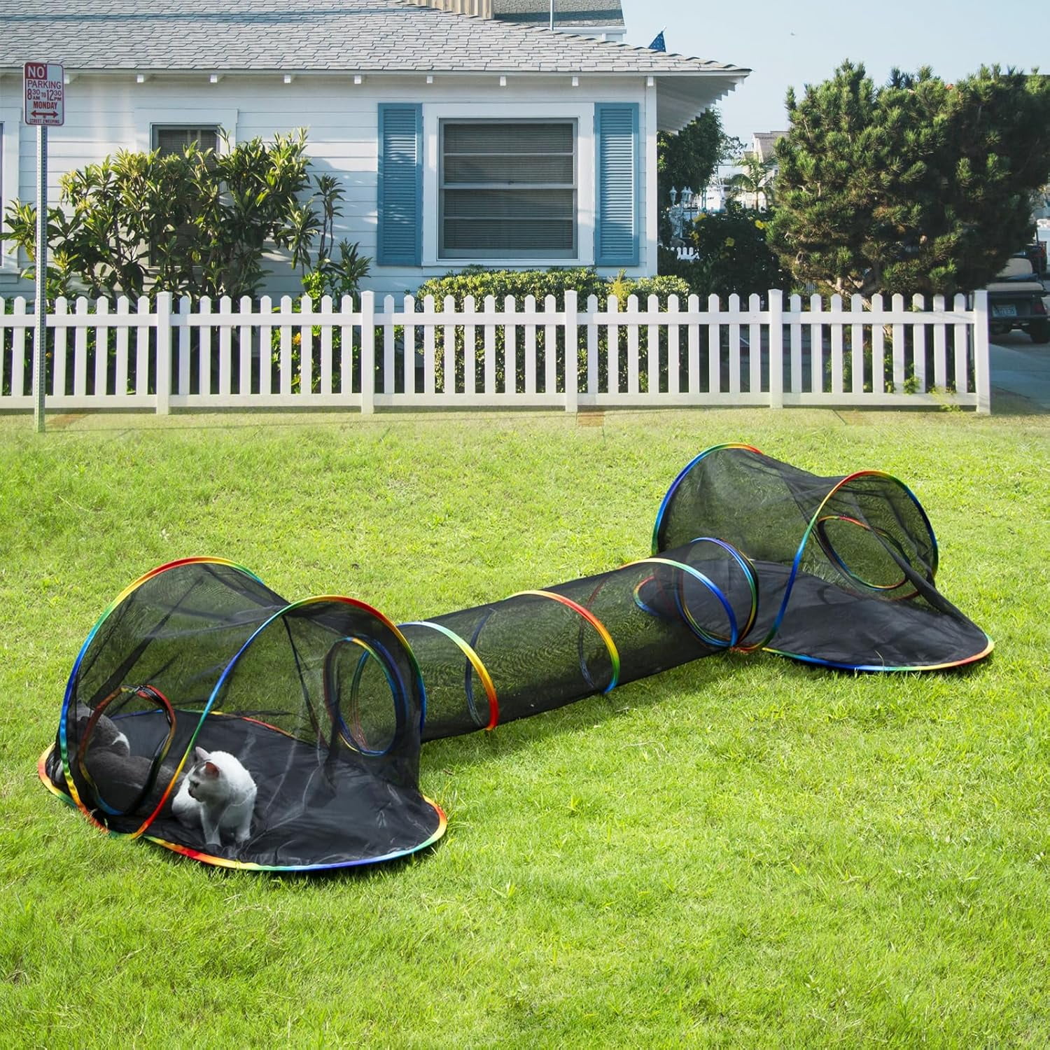 Outdoor Rainbow Cat Enclosures Playground,Outside House for Indoor Cats ...